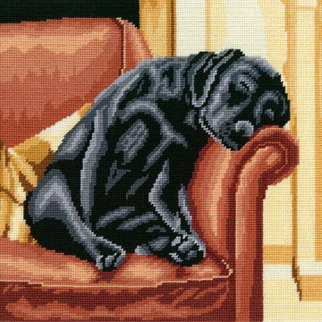 Beginner's Tapestry Kits - Tapestry Kits UK